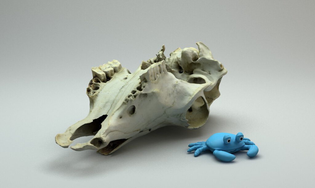 STEREOSCOPICTURES - Theory and history of a popular 3D method.